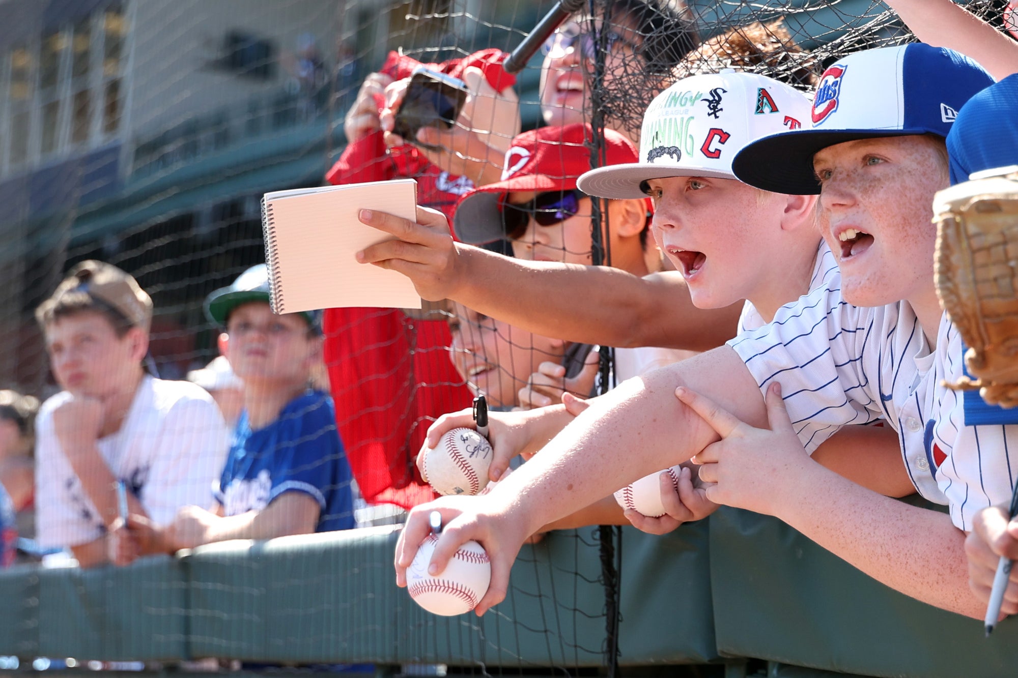 MLB spring training keeps hobby shops busy as card sales soar in ...